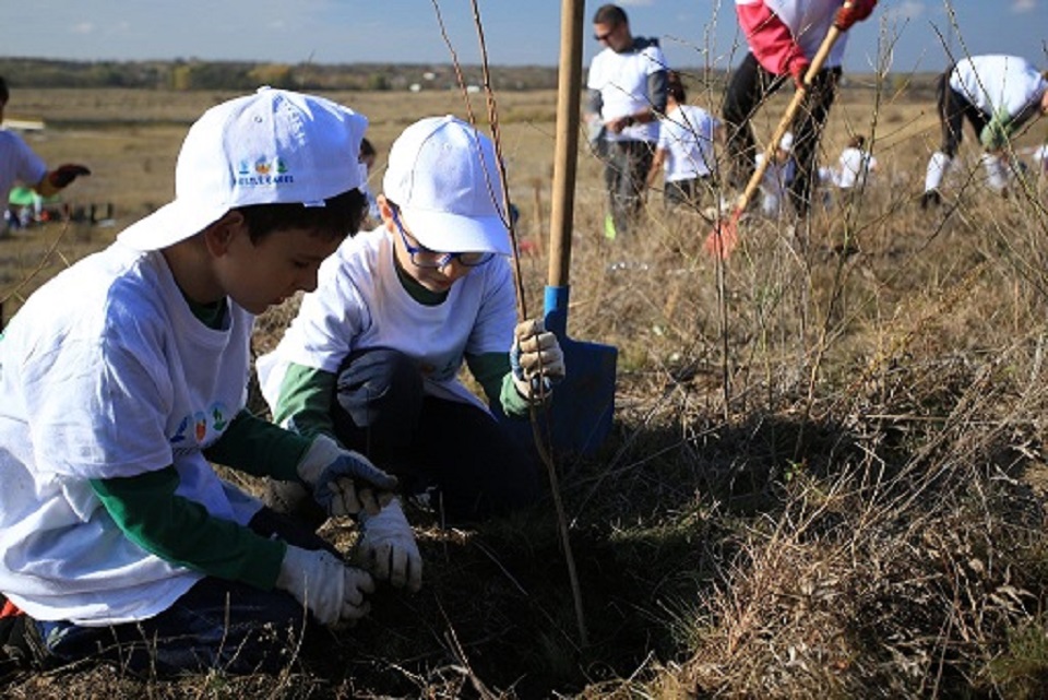 Nestlé Romania launches the Honey Forest and plants 20,000 acacia trees ...