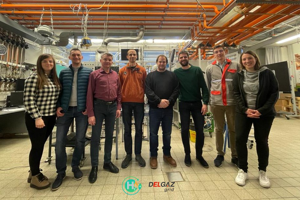 Delgaz Grid specialists obtain certification in Germany for safe ...